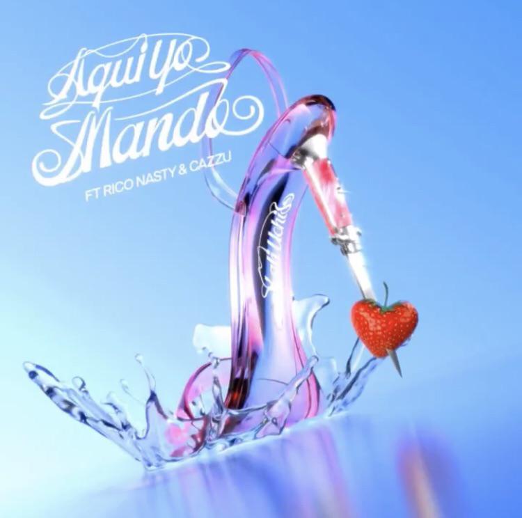 Cover Art For Aquí Yo Mando | Scrolller