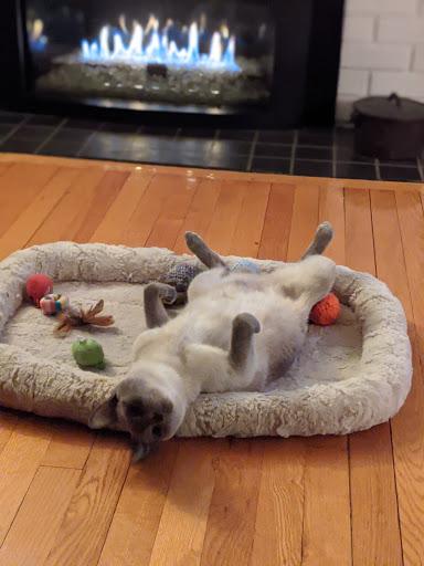 Cozy Scrolller