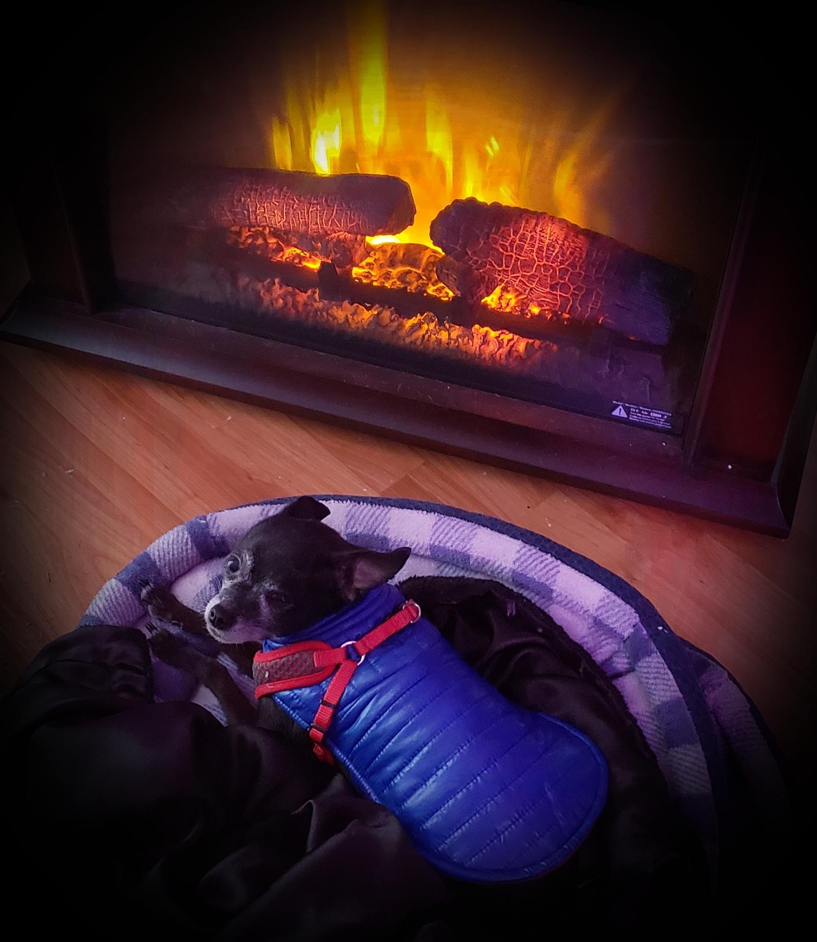 Cozy little guy | Scrolller