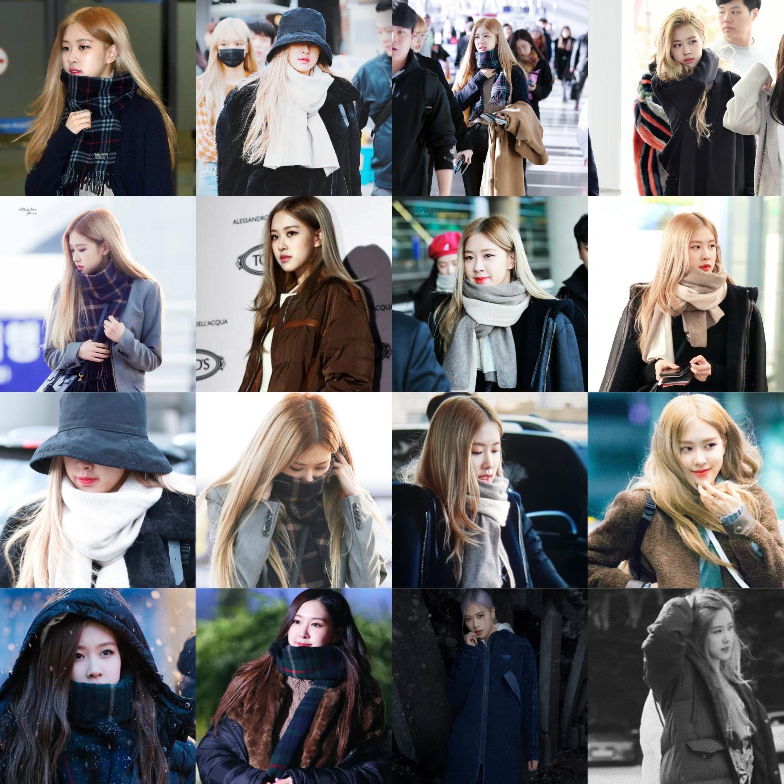 Cozy Rosie | Scrolller