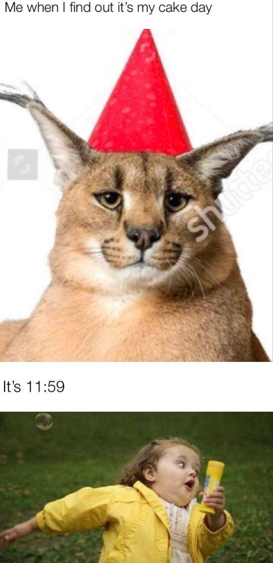 Cr: big floppa | Scrolller