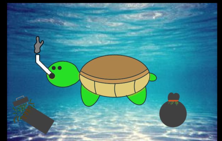 CrackHead Turtle | Scrolller
