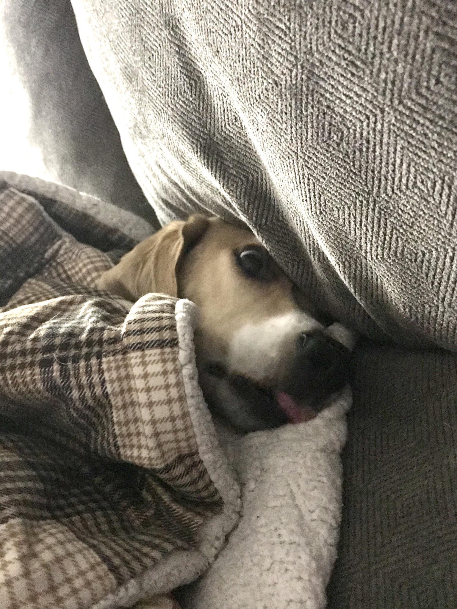 Crazy-eye bloop | Scrolller