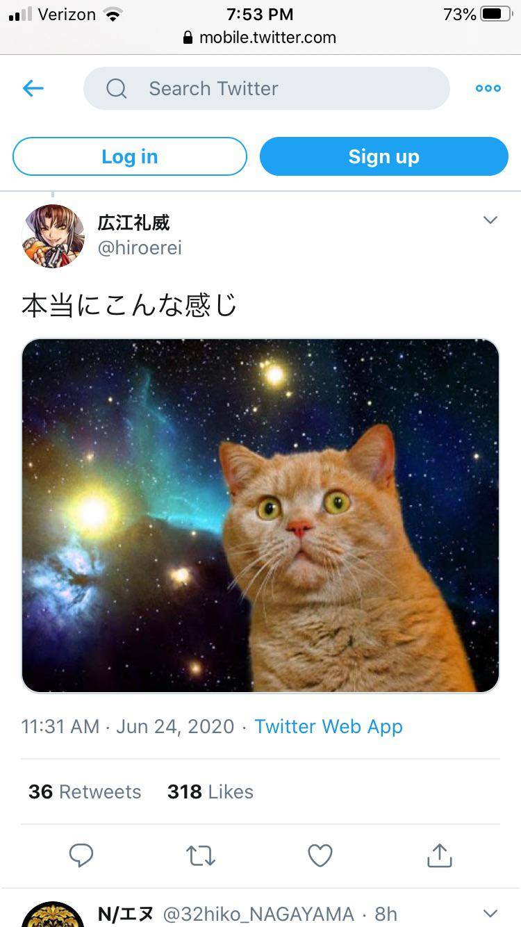 Creator of BL likes space cats. | Scrolller