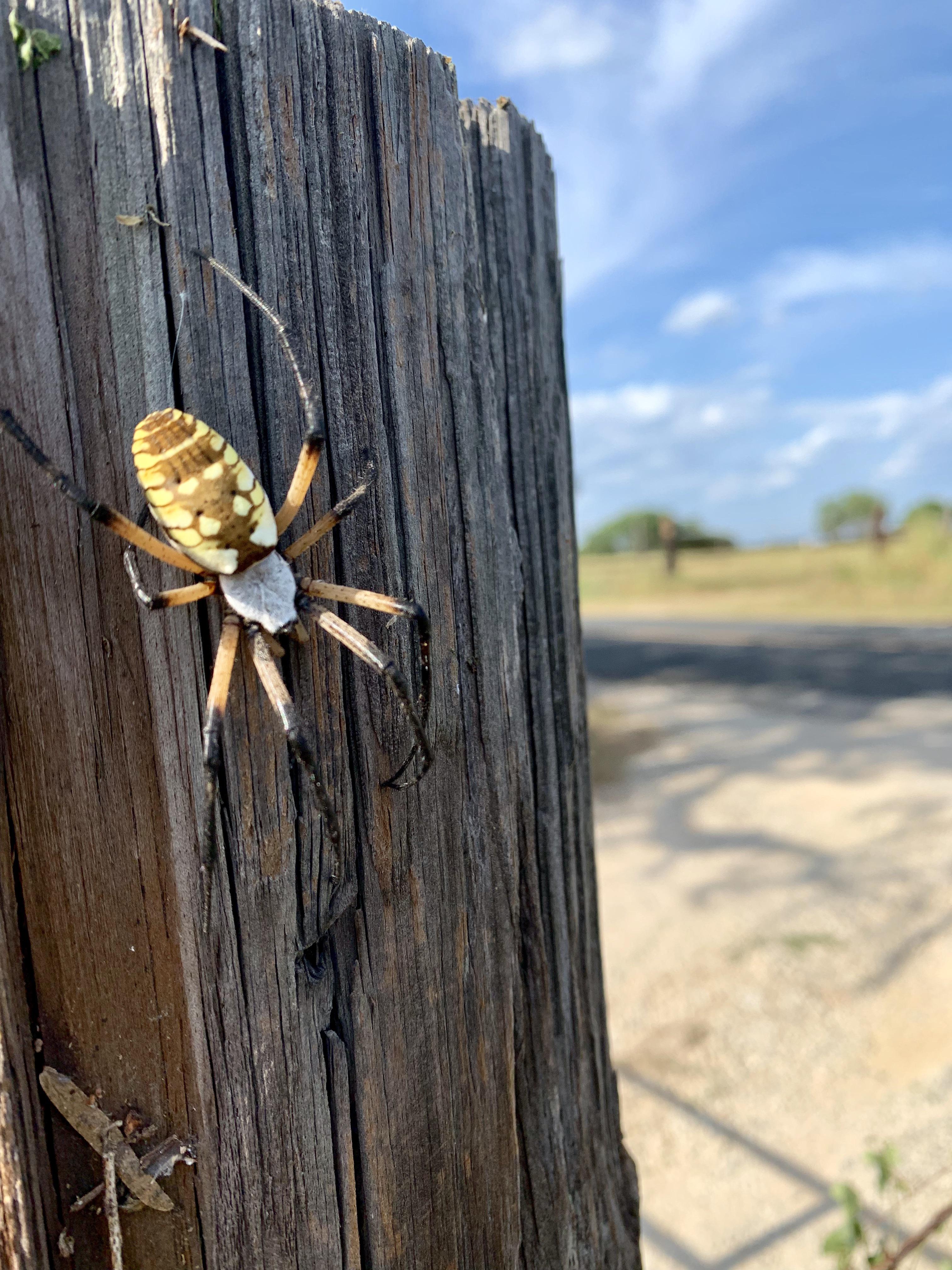 CrEaTUre FeAtUrE | Scrolller