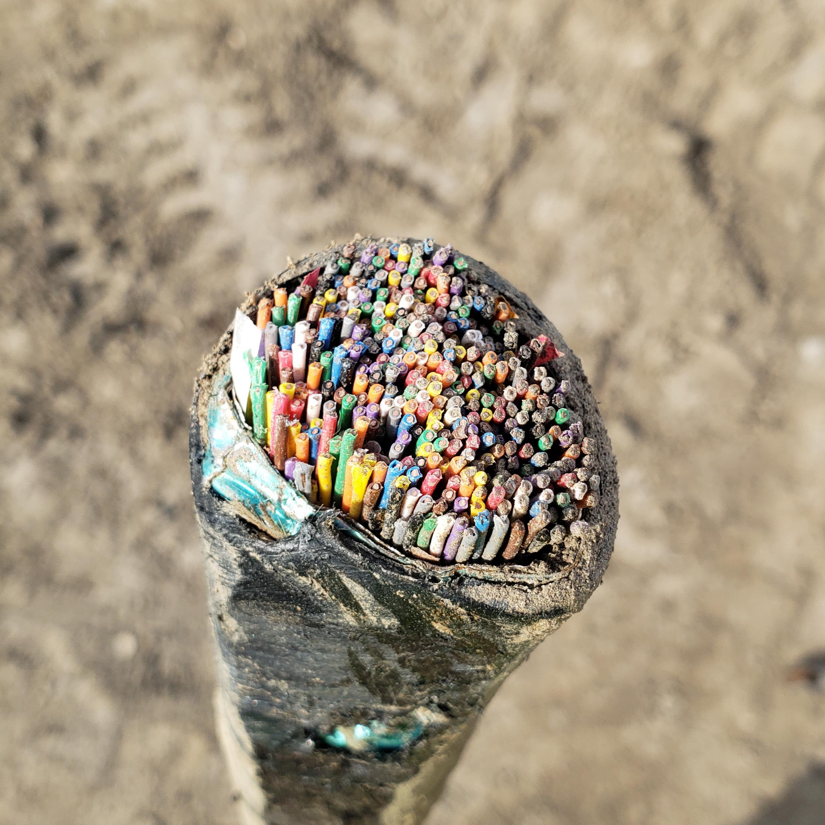 Cross-section of a telephone pole cable. | Scrolller
