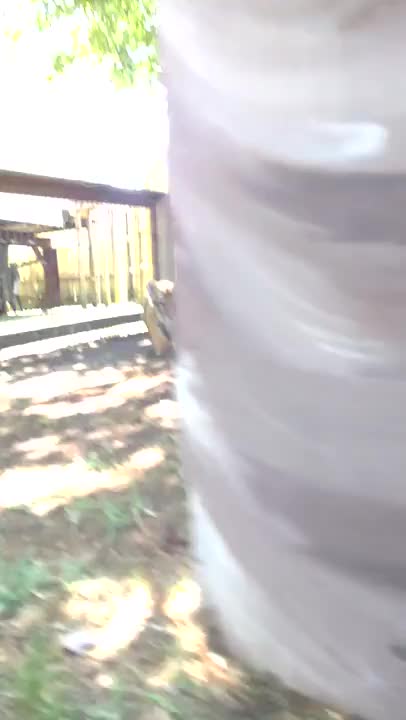 Crouching tiger, hidden agenda. | Scrolller