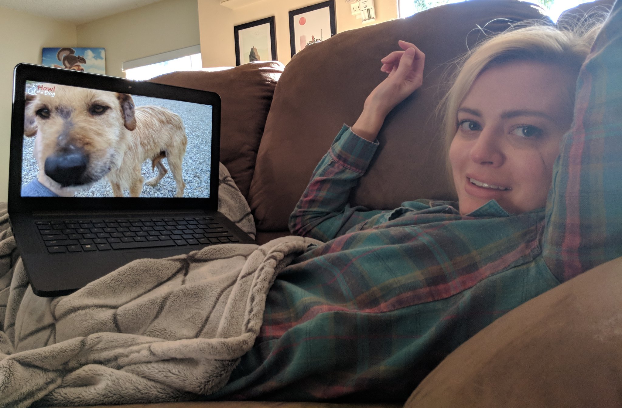 Crying Watching Dog Rescue Videos | Scrolller