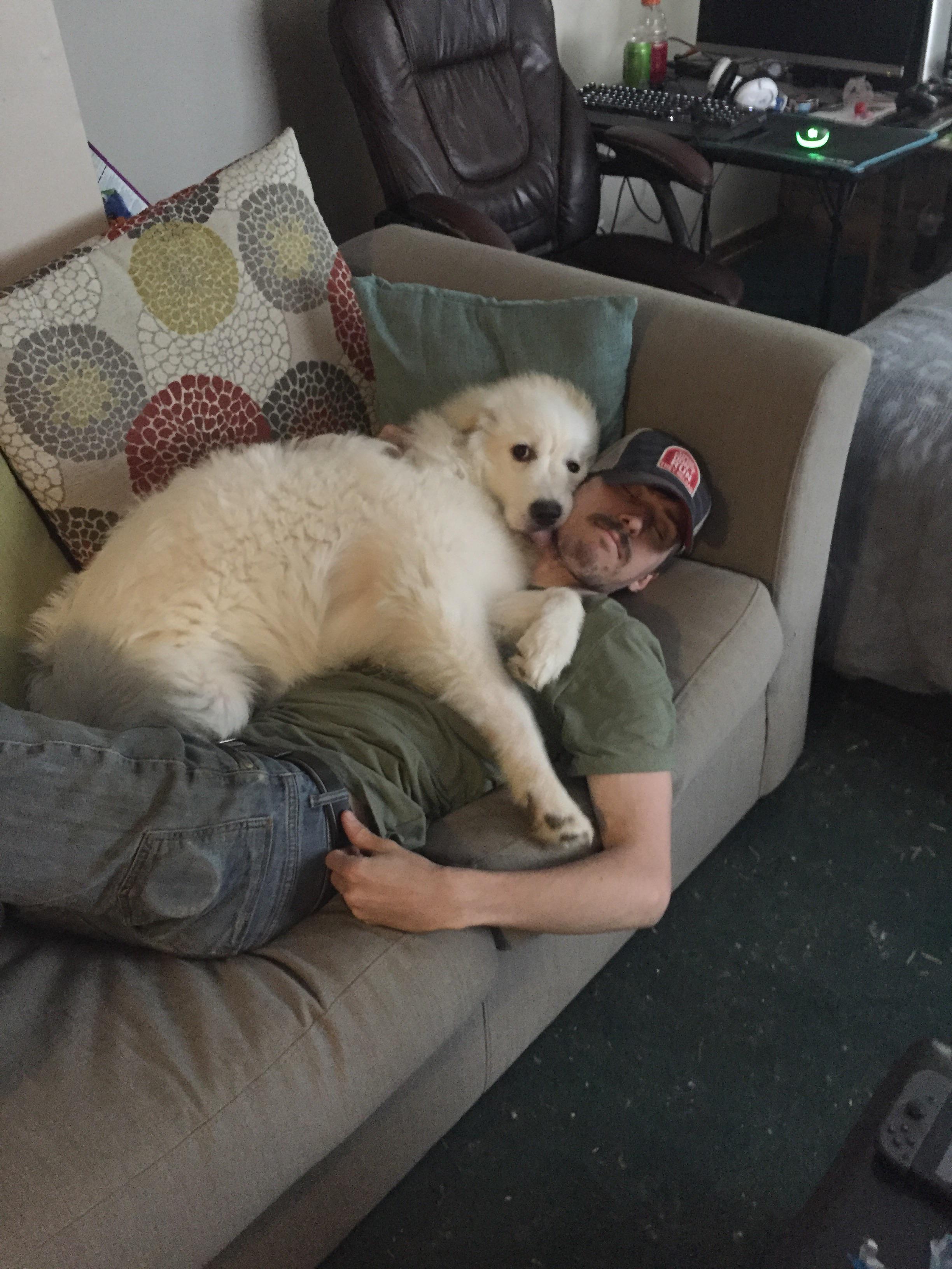 Cuddle bug 🥰 | Scrolller