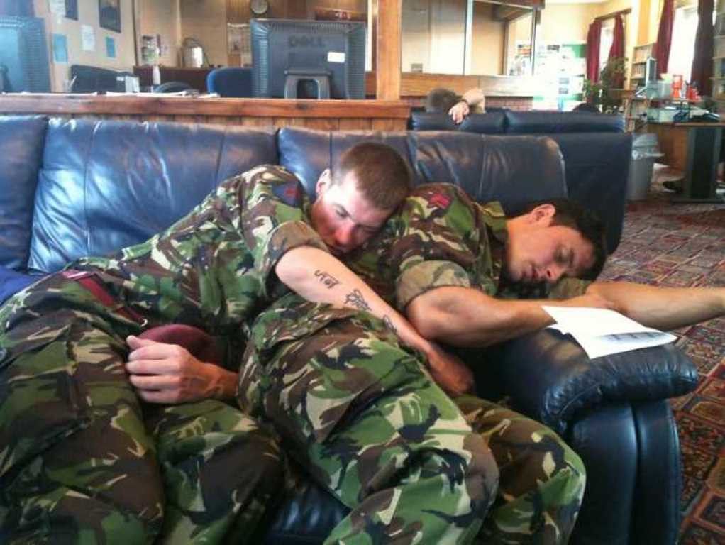 Cuddle bunnies | Scrolller