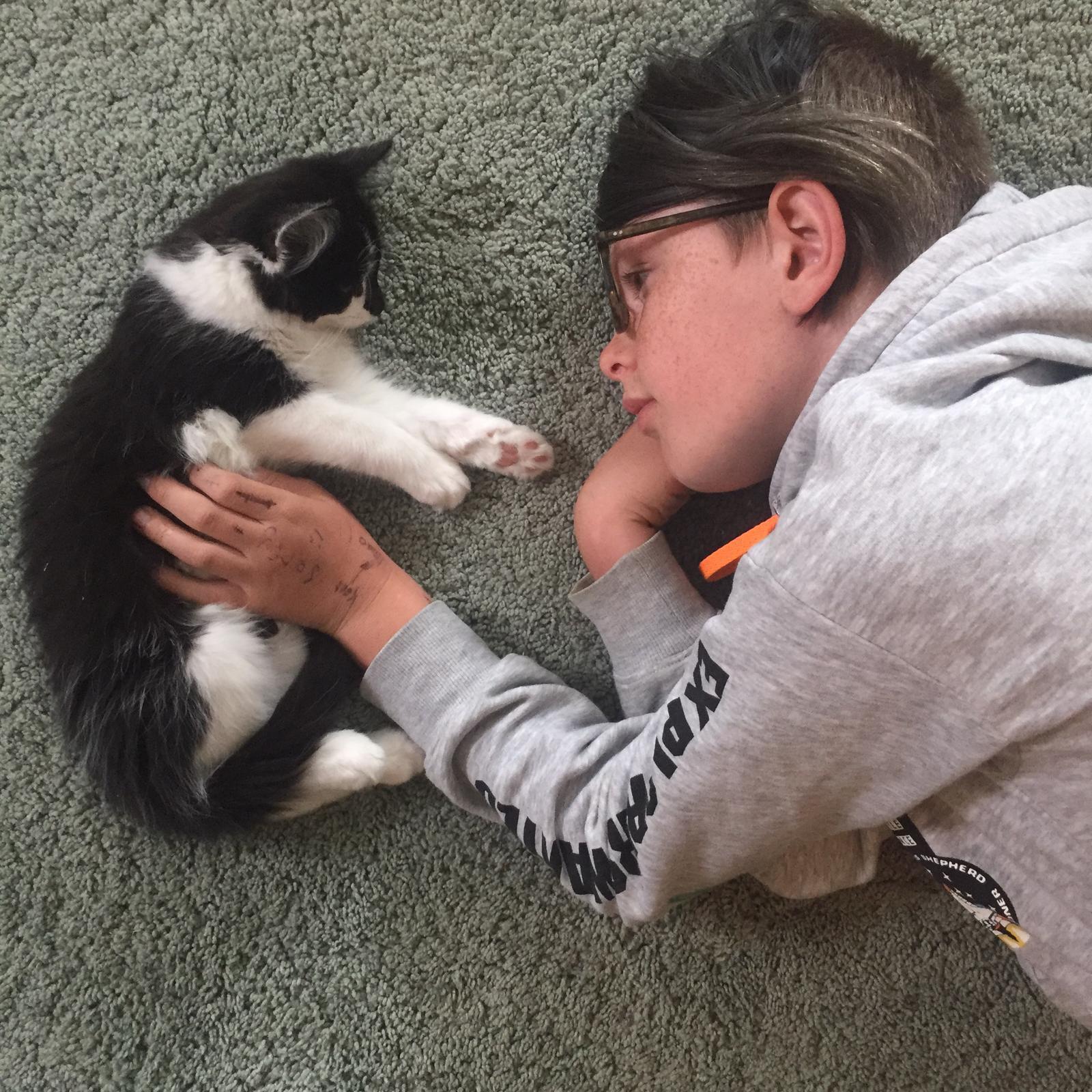 Cuddlin’ my kitten | Scrolller