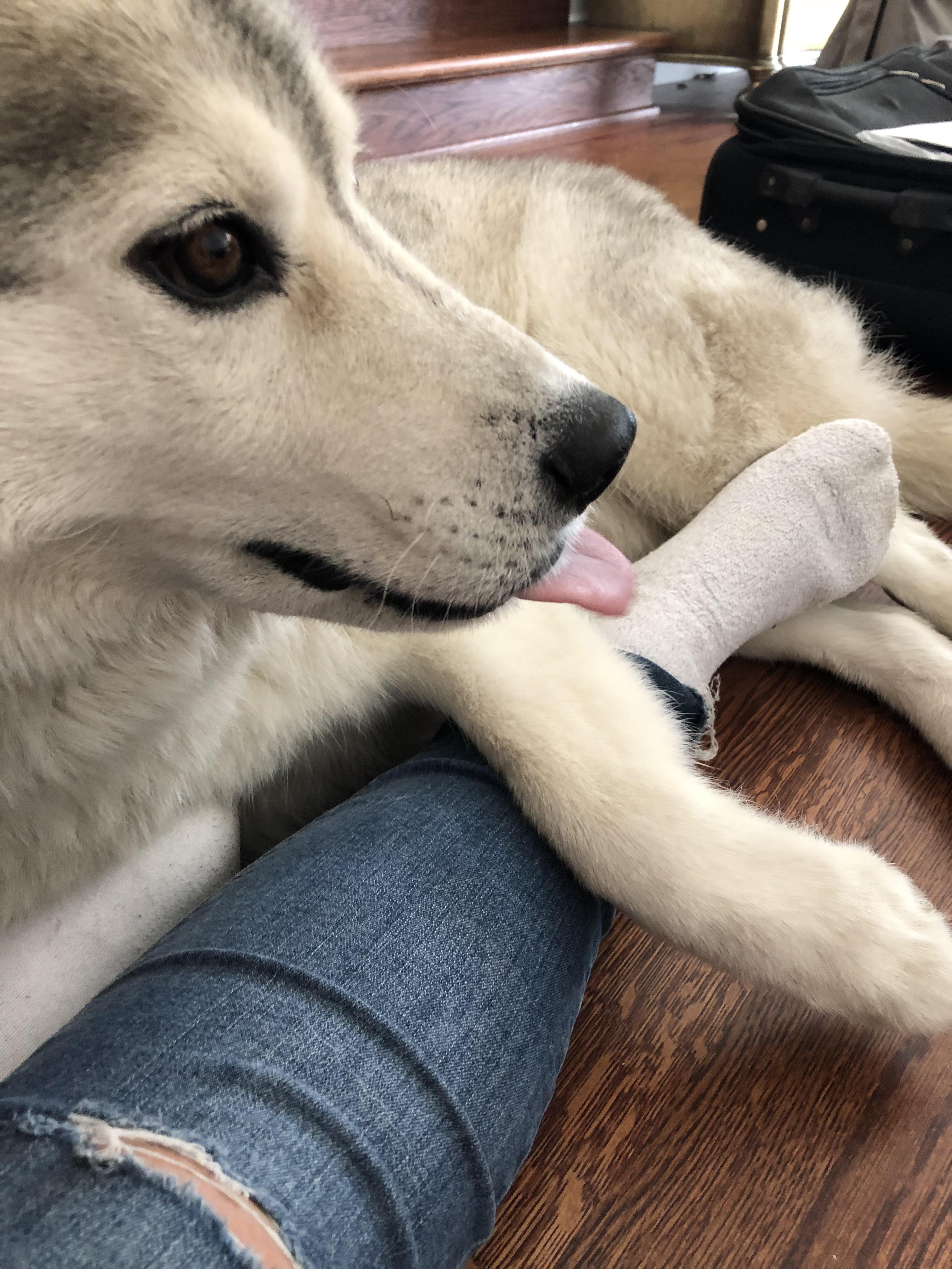 Cuddling mlem | Scrolller