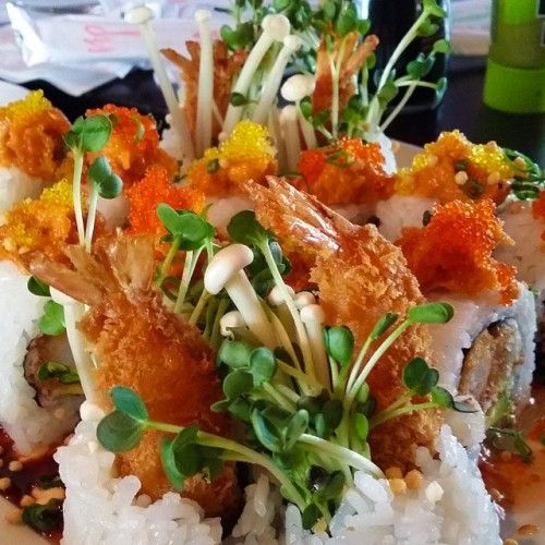 Curious sushi. | Scrolller
