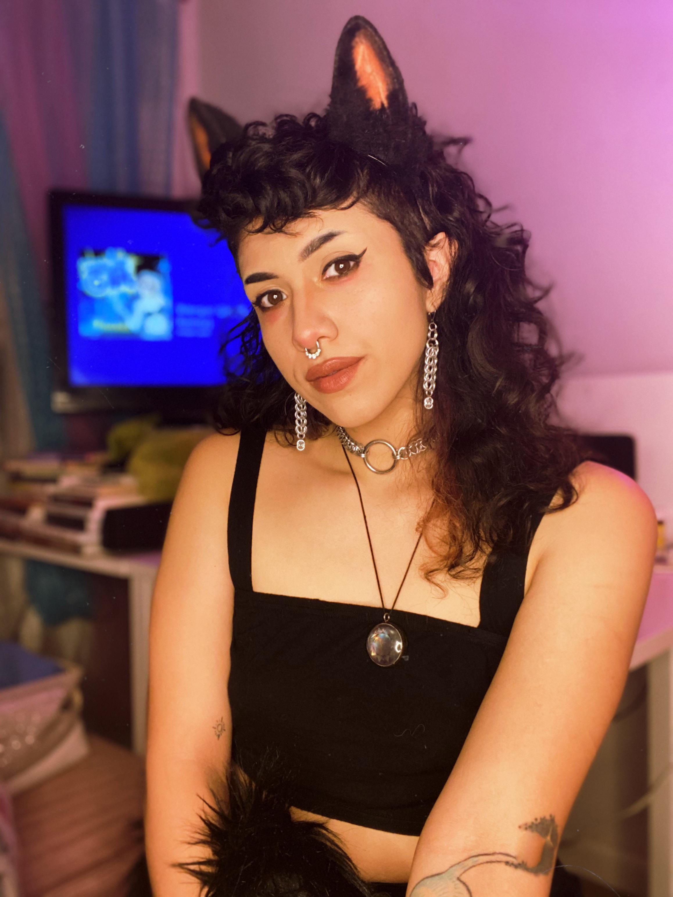 Curly haired and collared cat 🐾 crossing your path this Friday the 13th | Scrolller