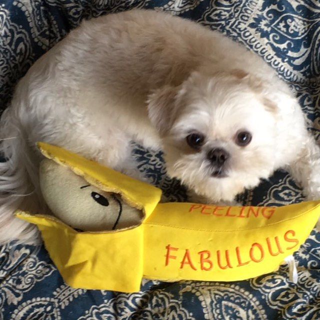 Current Mood | Scrolller