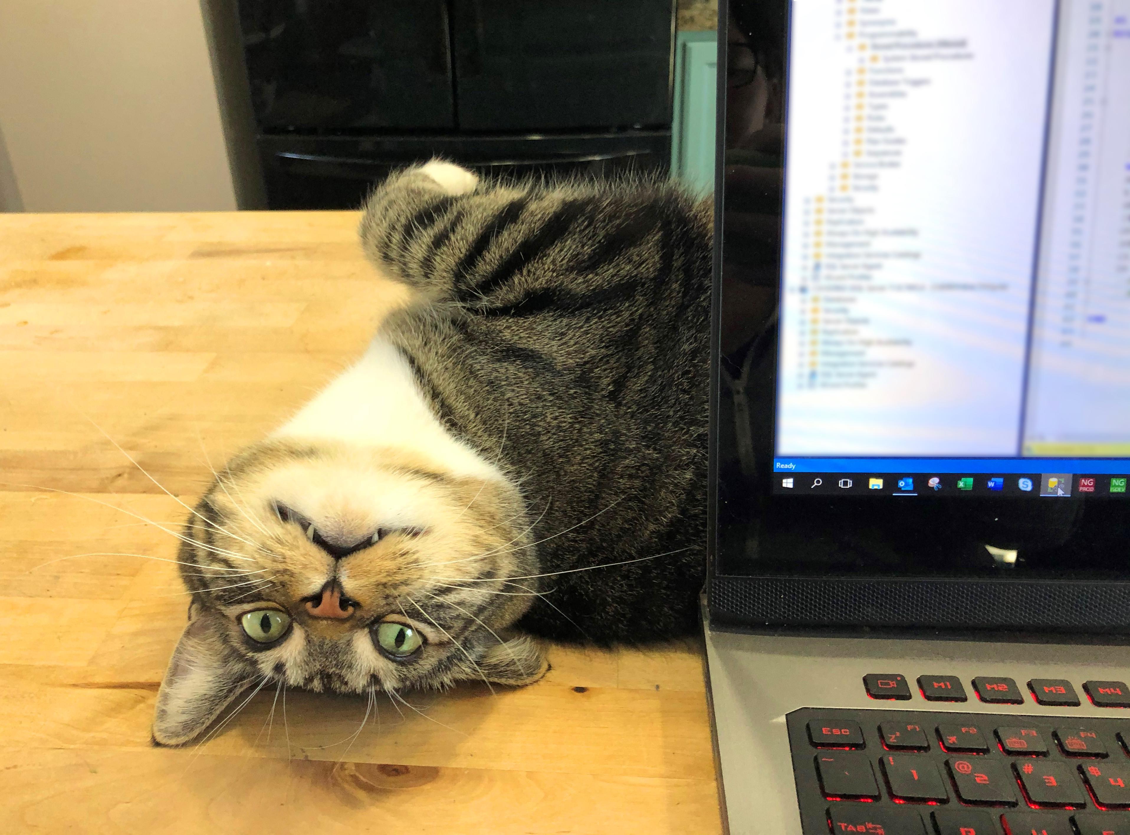 Current Situation... | Scrolller