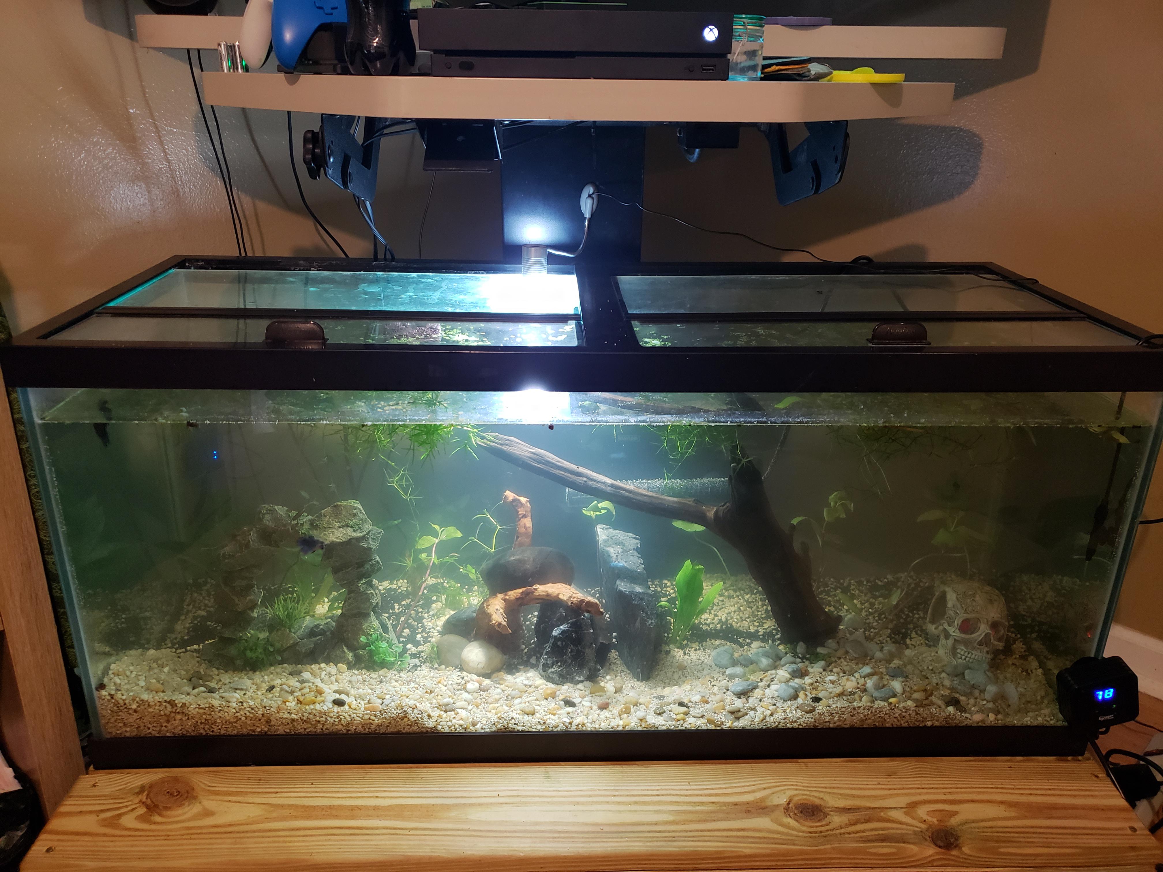 Current Wip. | Scrolller