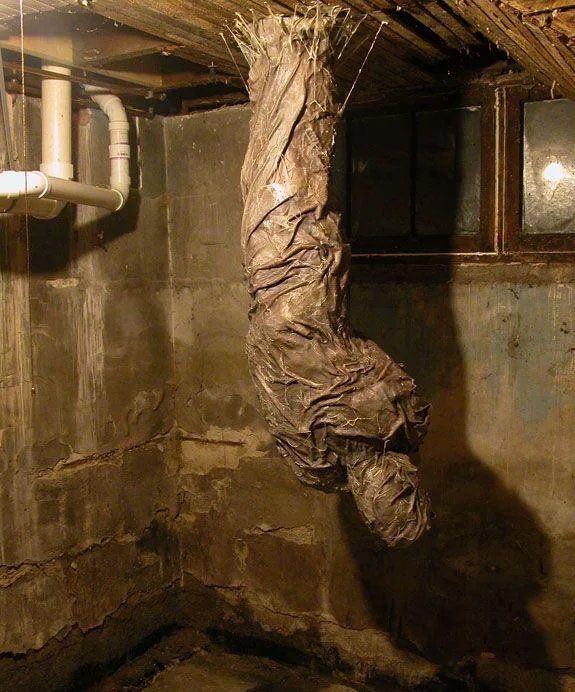 Cursed_basement | Scrolller