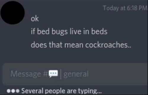 Cursed bed bugs | Scrolller