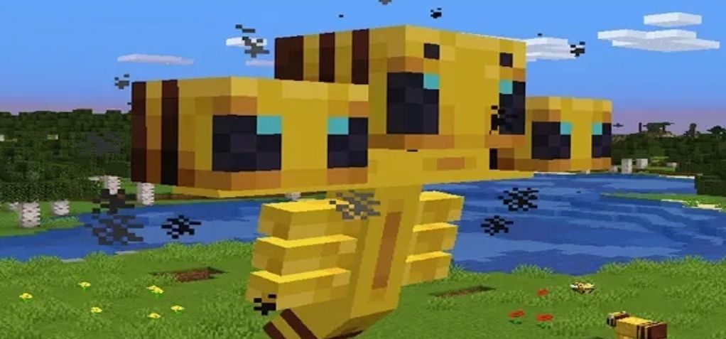 Cursed bee | Scrolller