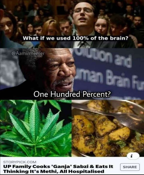 cursed brain | Scrolller