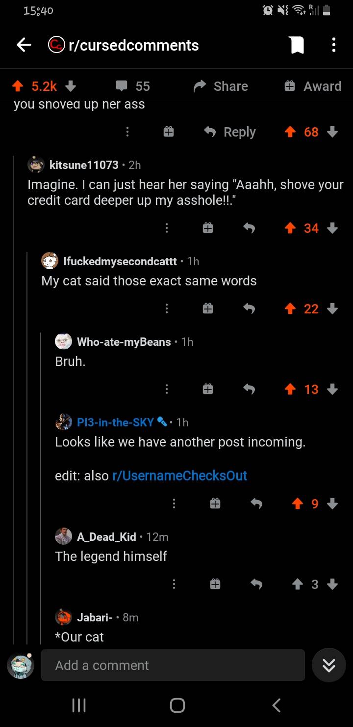 Cursed_cat | Scrolller