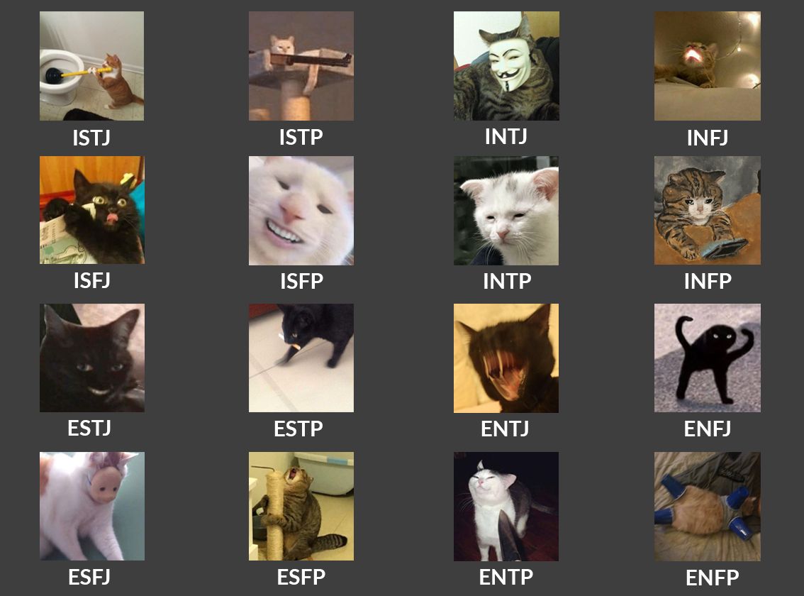 cursed cats mbti | Scrolller