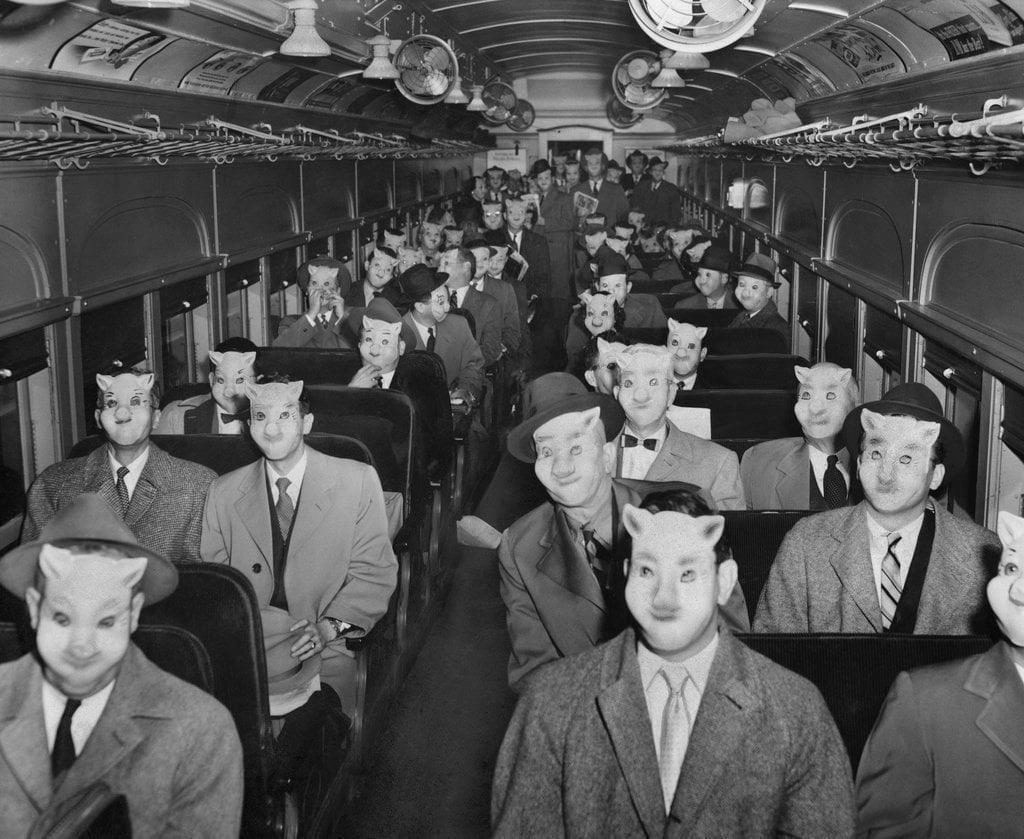 Cursed_bus | Scrolller