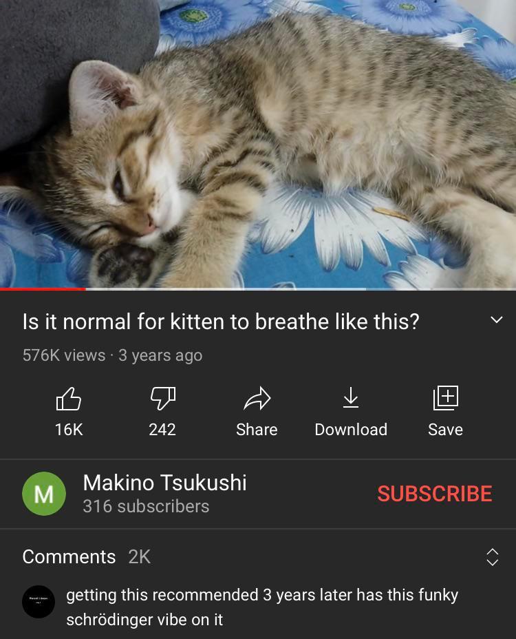 Cursed_dead or alive | Scrolller