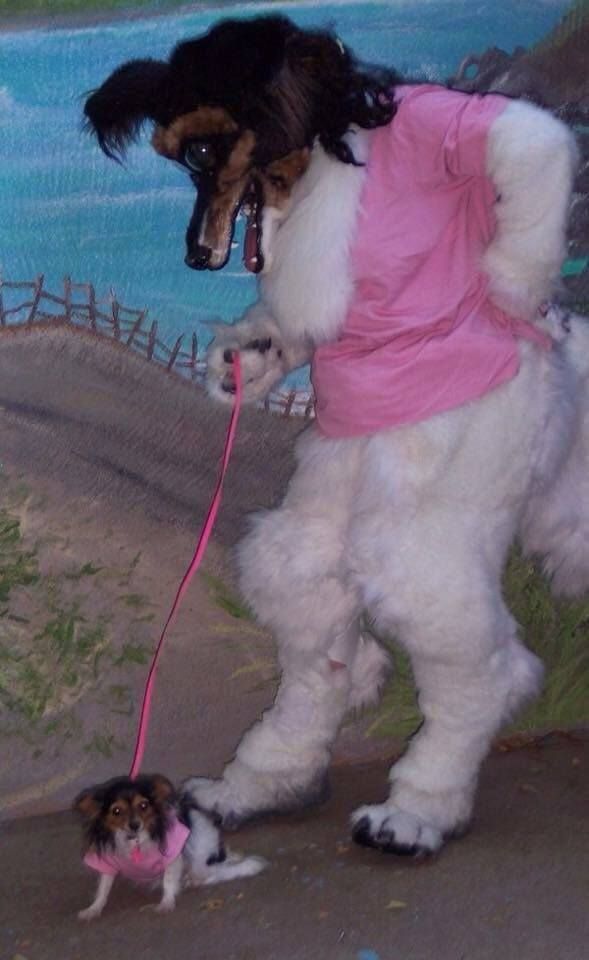 cursed_dog | Scrolller