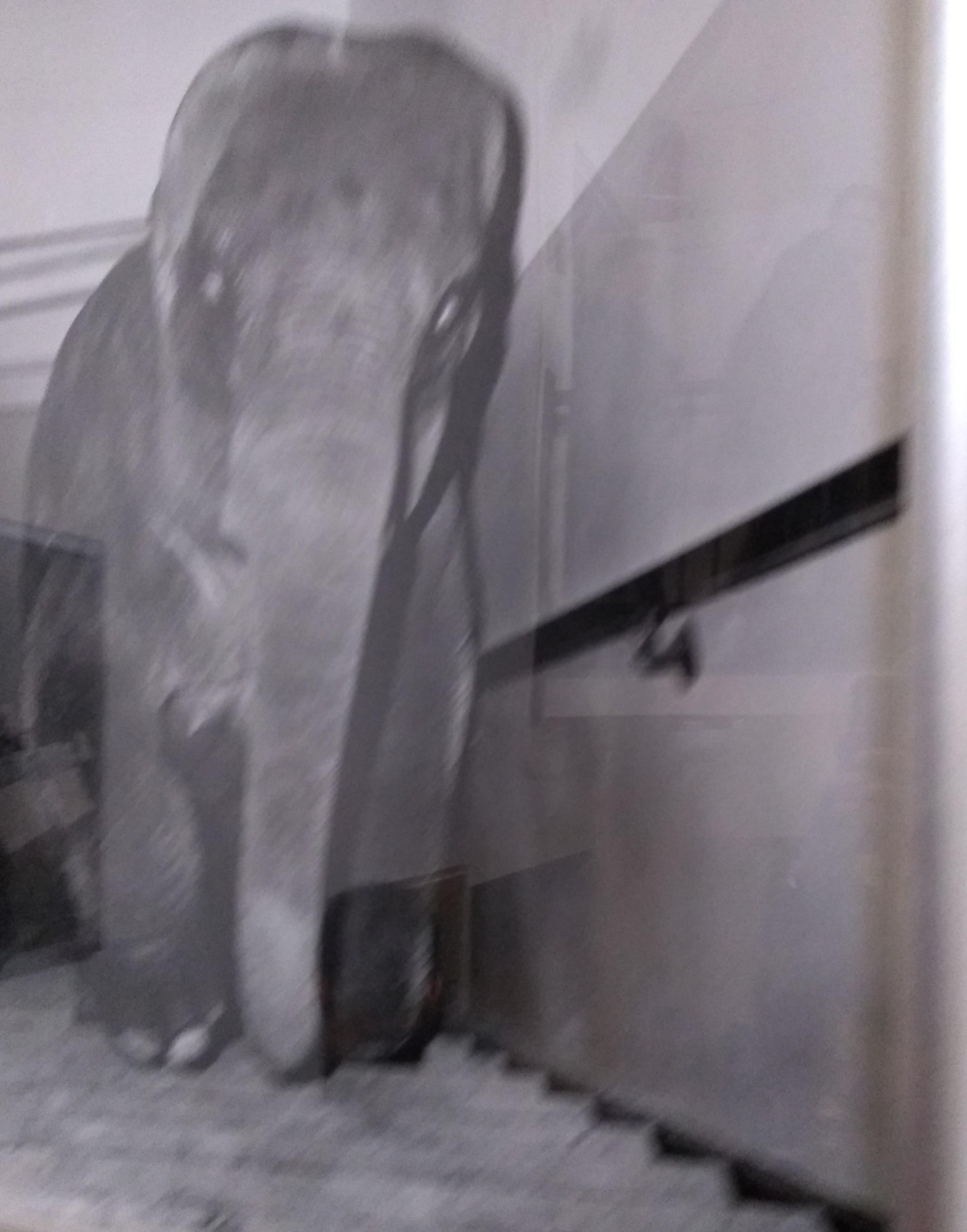 Cursed_Elephant | Scrolller