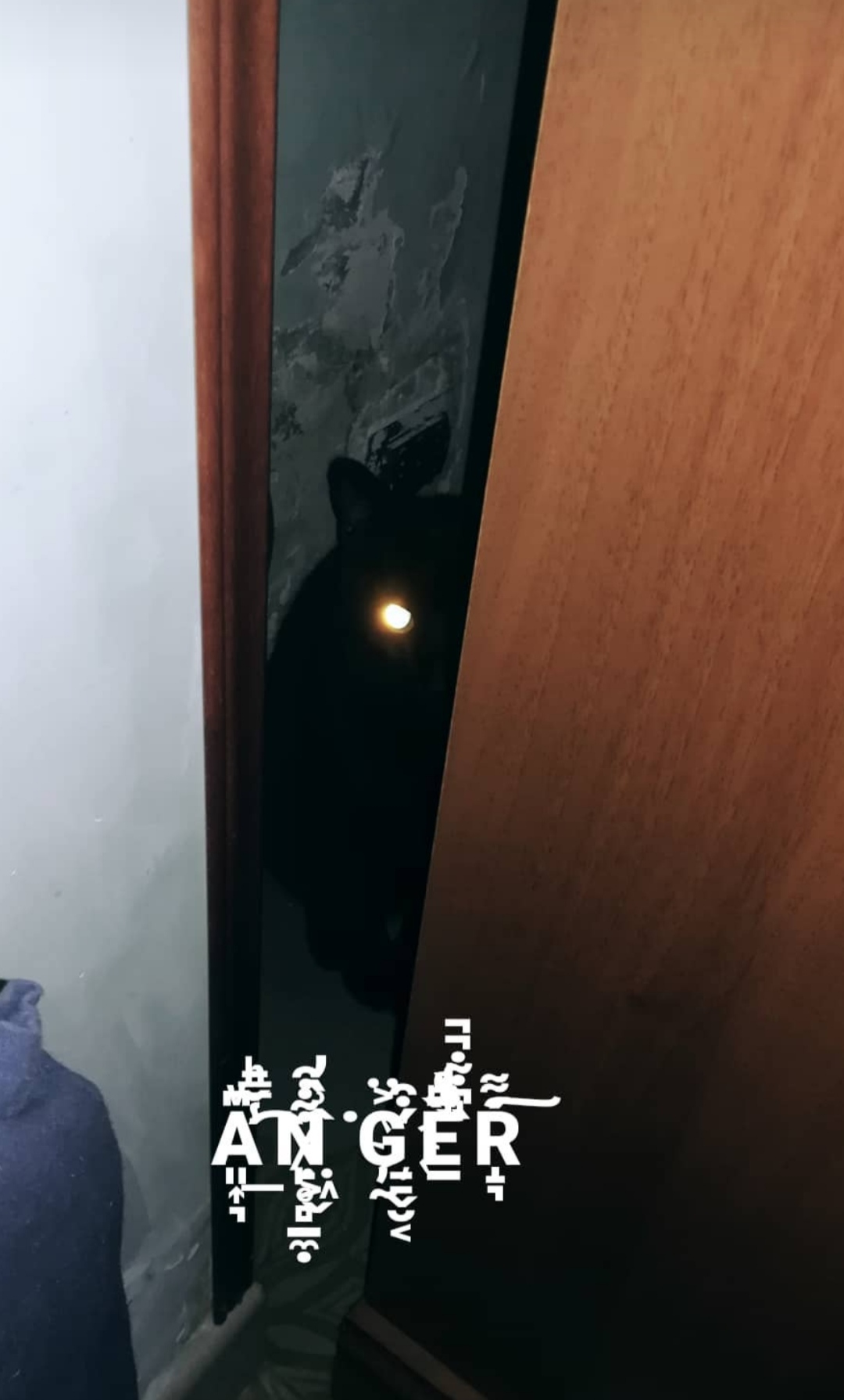 cursed_emotion | Scrolller