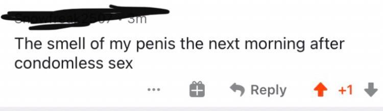 Cursed_Favourite smell | Scrolller