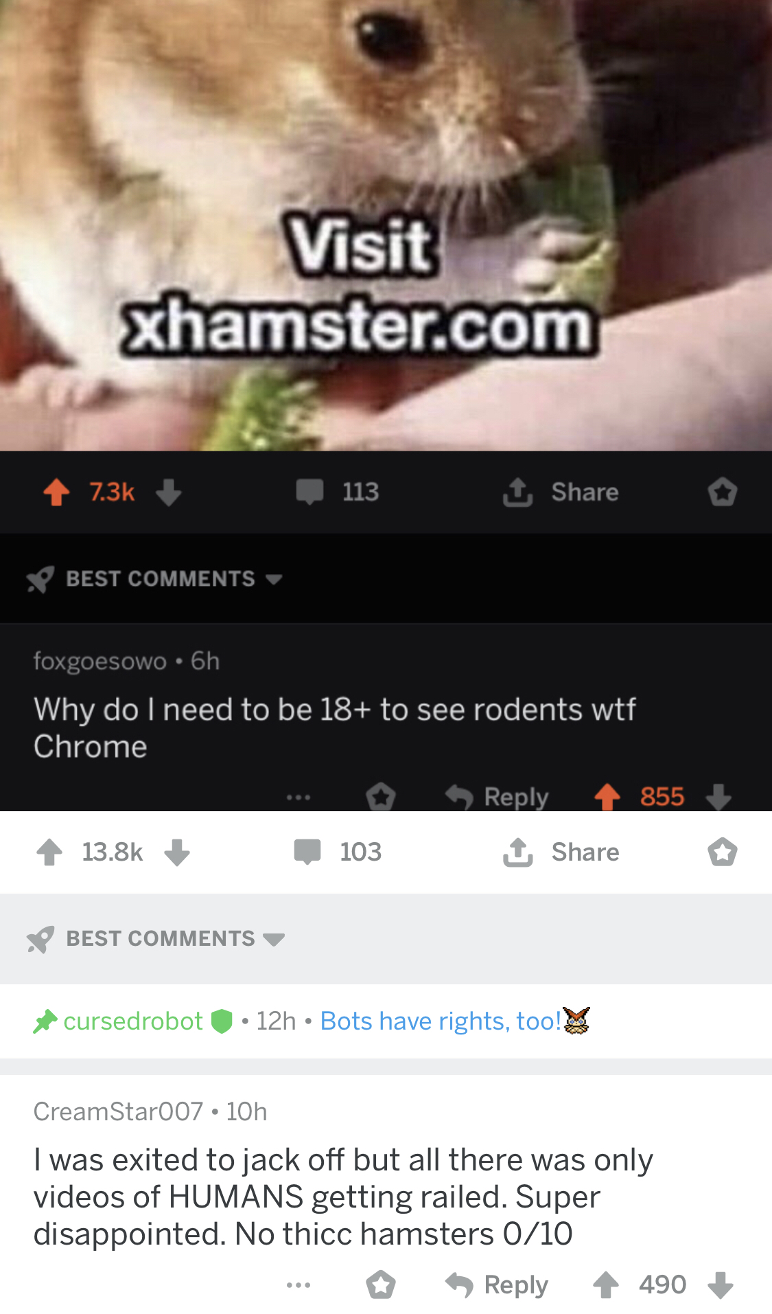 Cursed hamsters | Scrolller