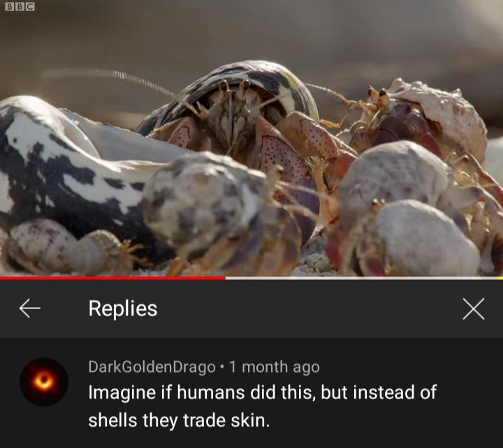 cursed_hermitcrab foreskin | Scrolller