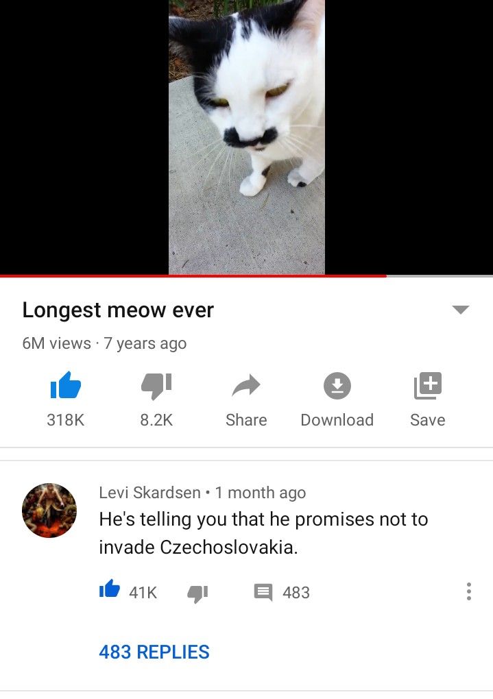 Cursed_Kitler | Scrolller