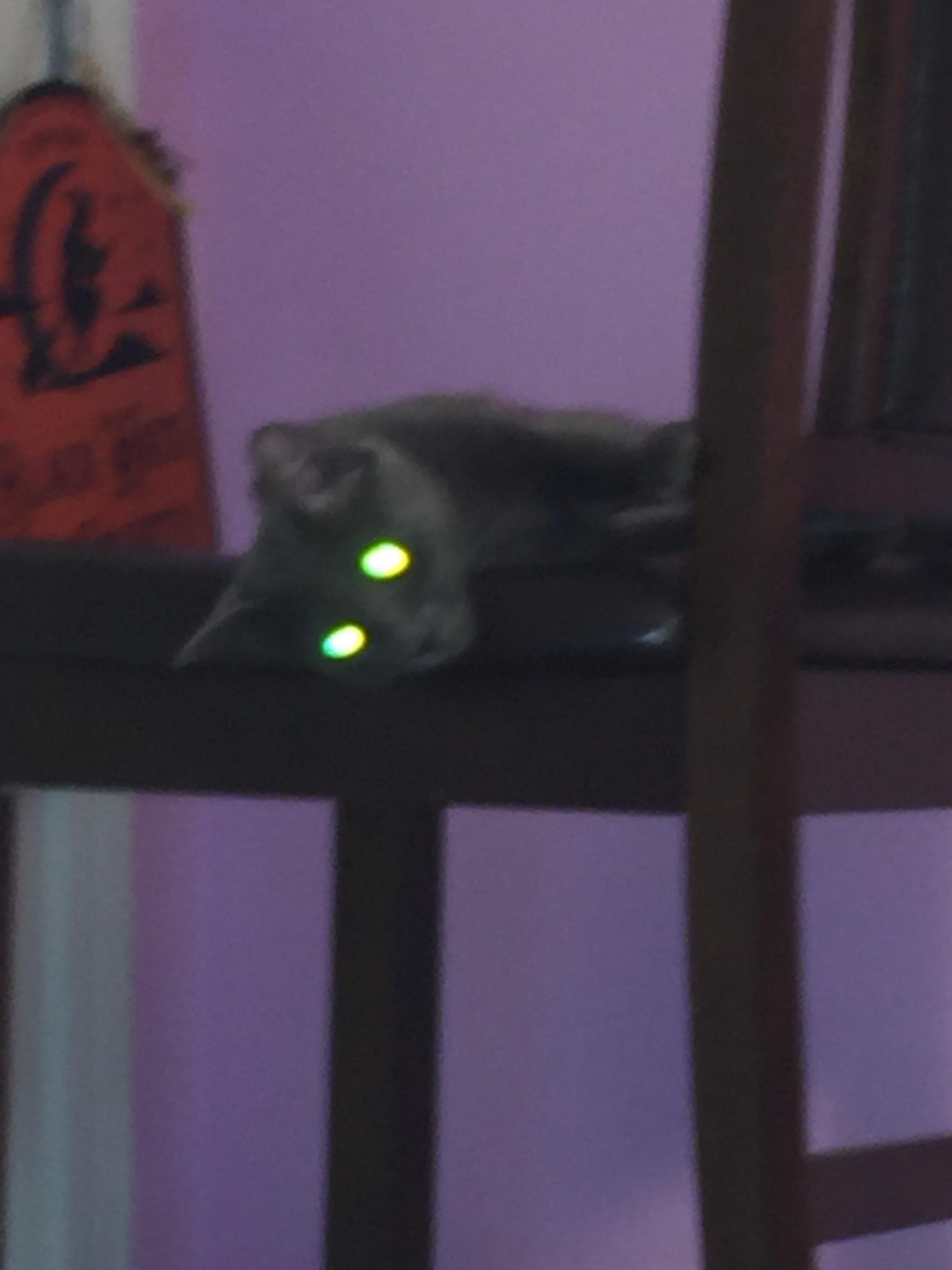 Cursed_lasers | Scrolller