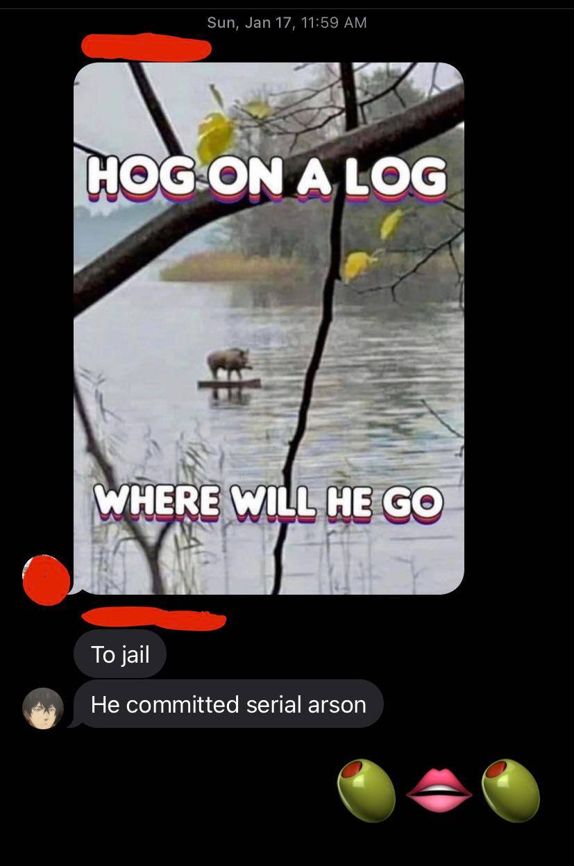 Cursed_log hog | Scrolller