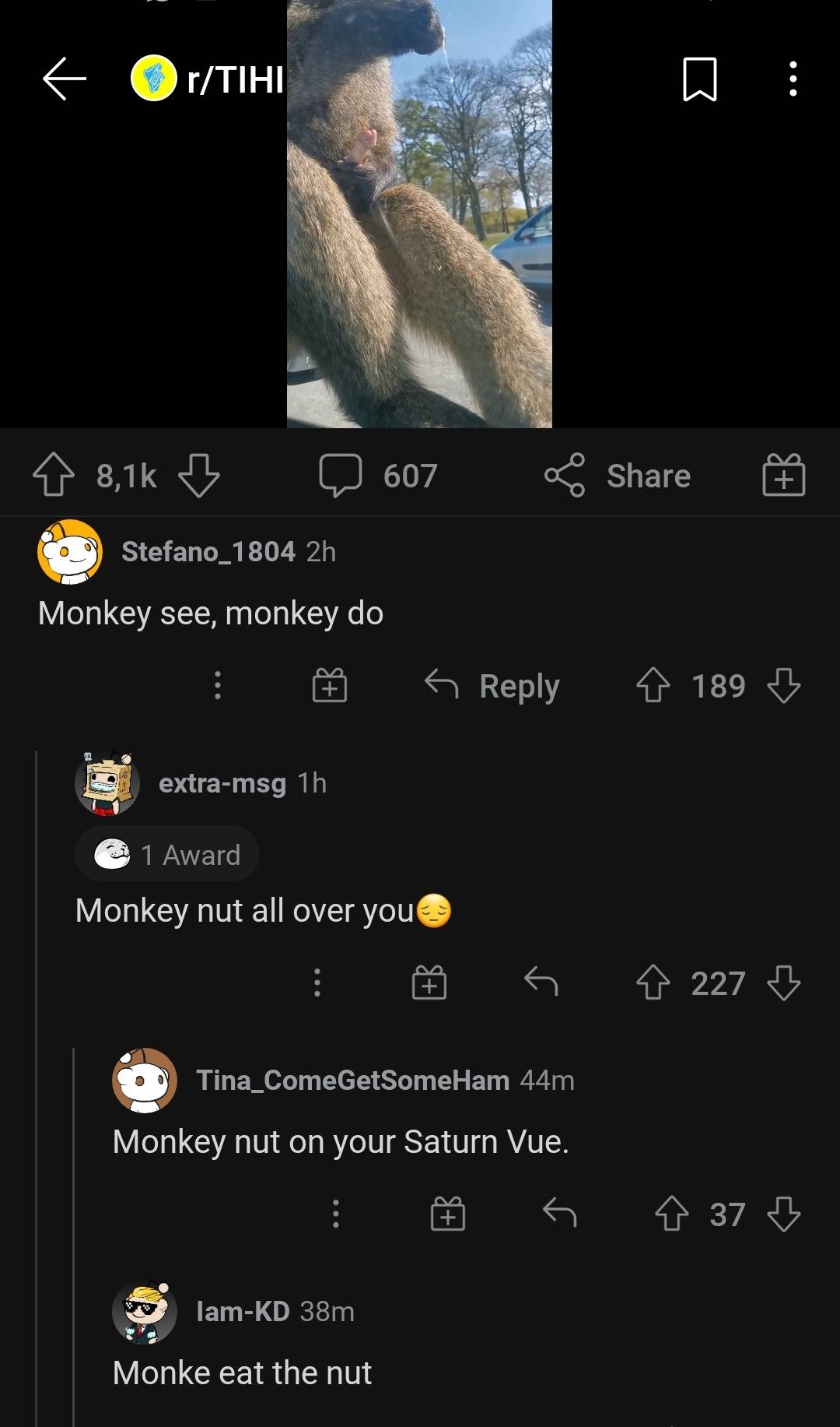 Cursed_Monkey | Scrolller