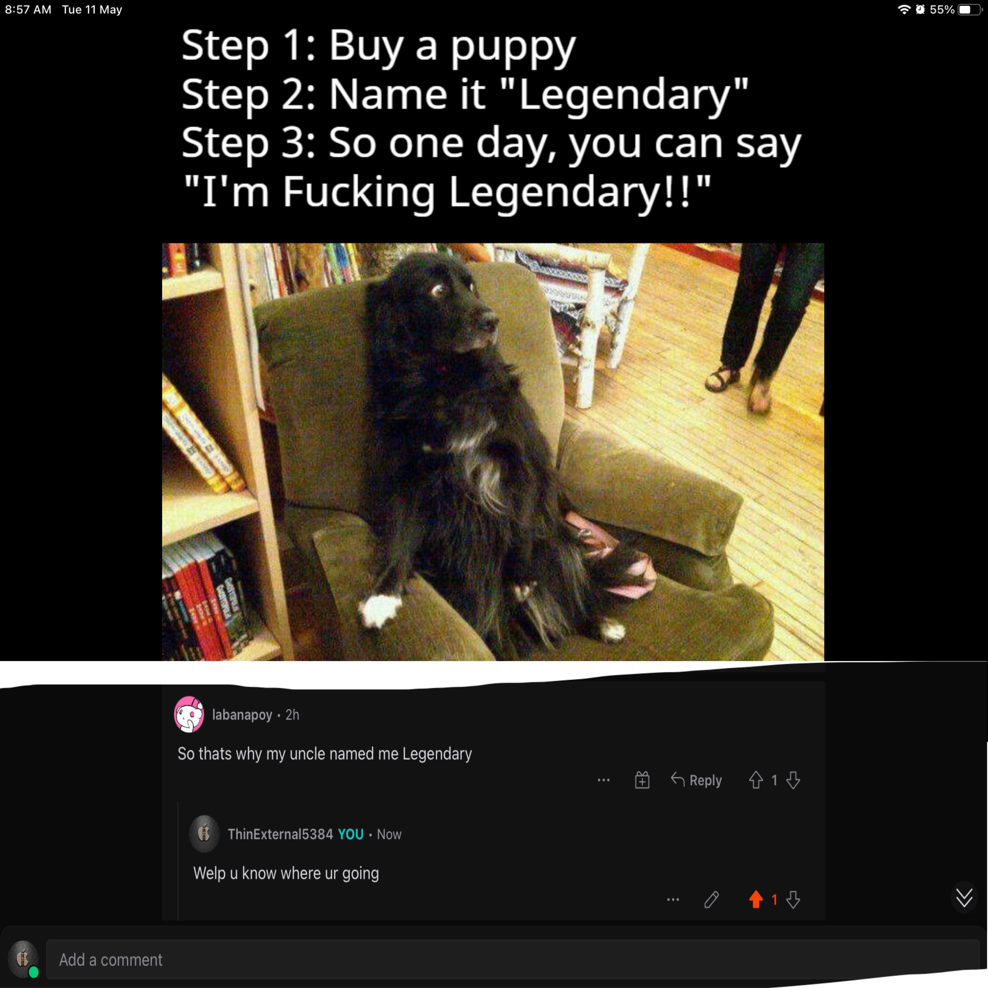 Cursed_name | Scrolller