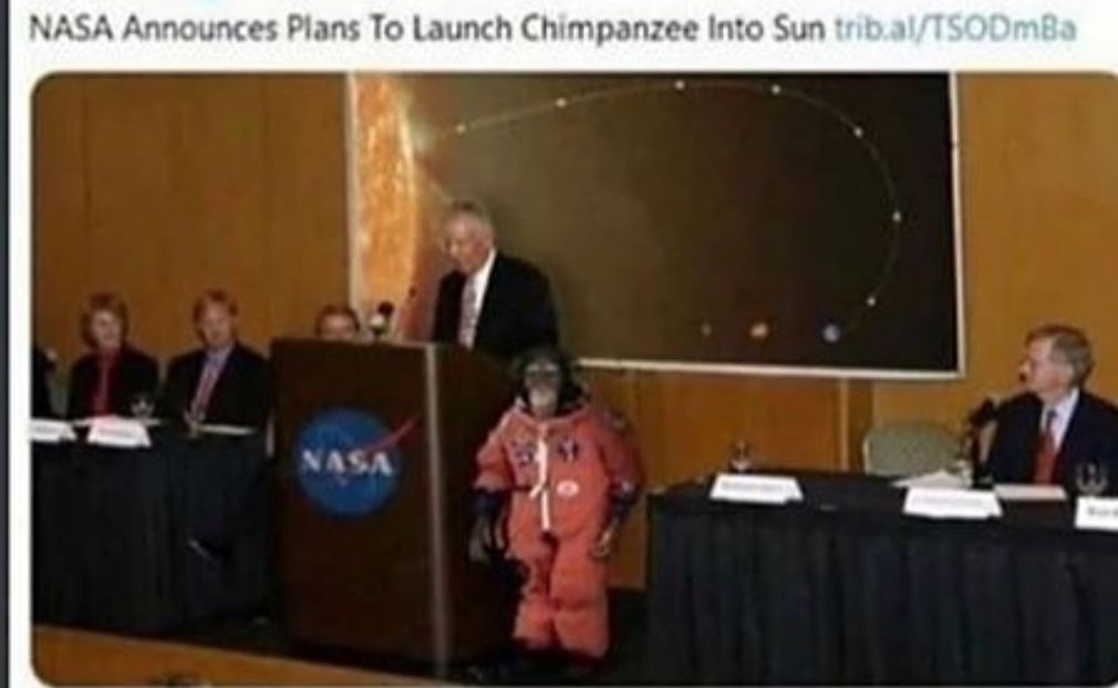 cursed news | Scrolller