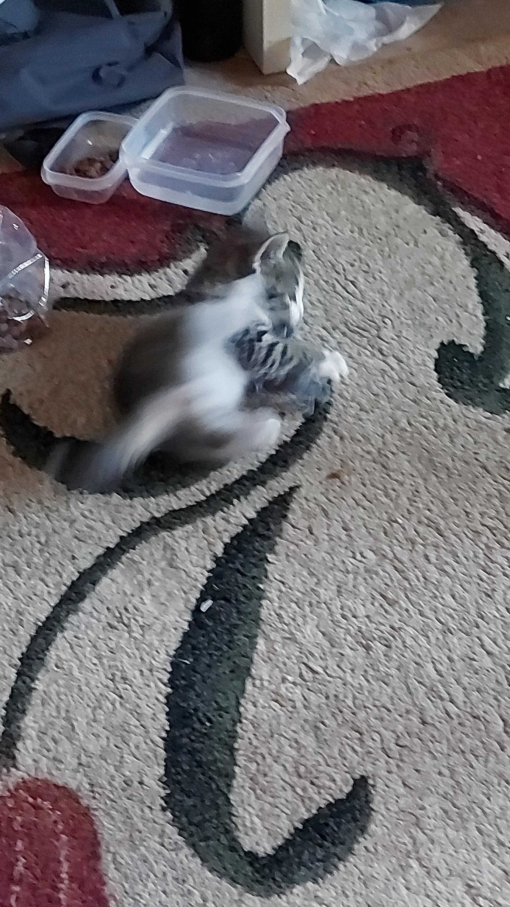 Cursed_playing | Scrolller