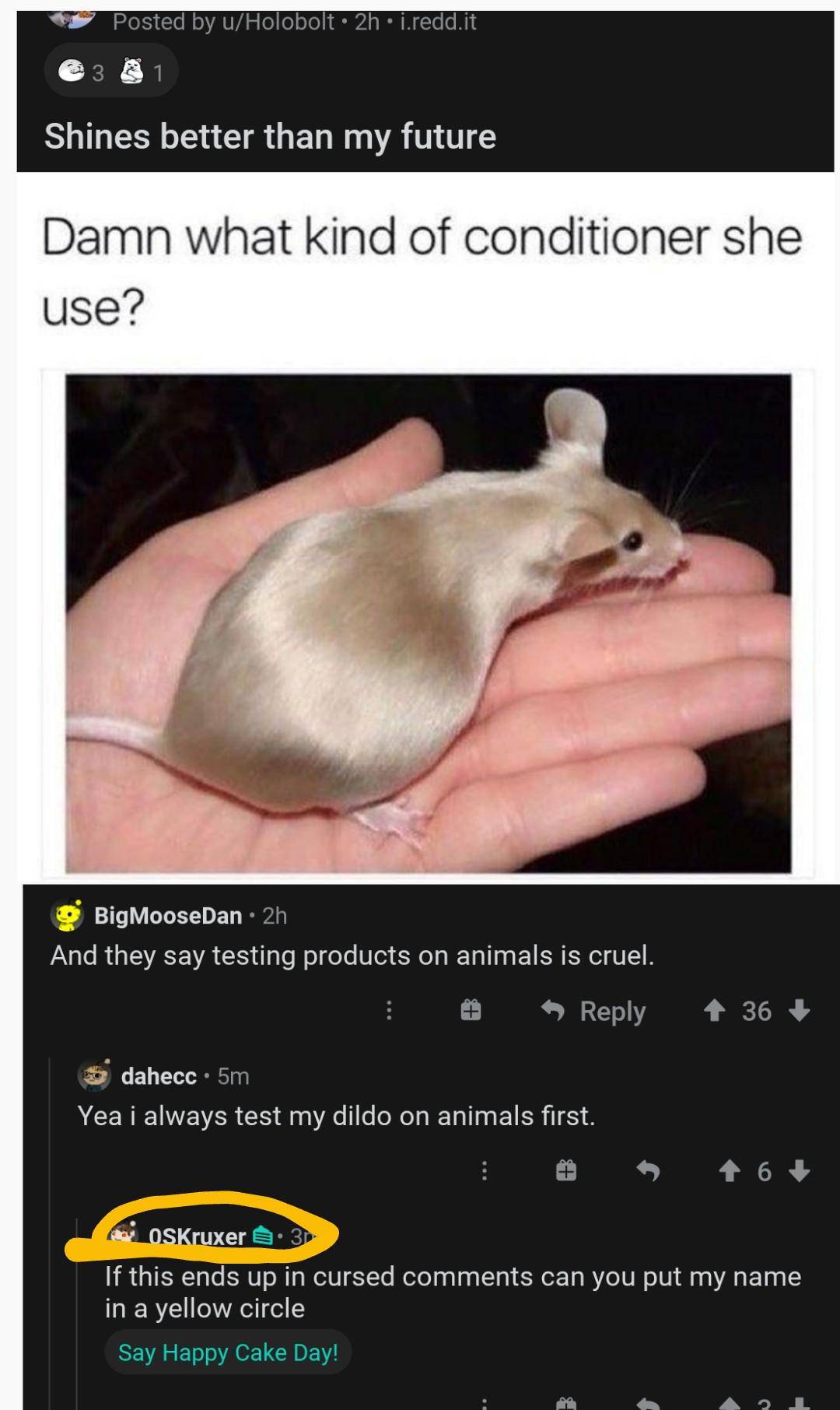 Cursed_rat | Scrolller