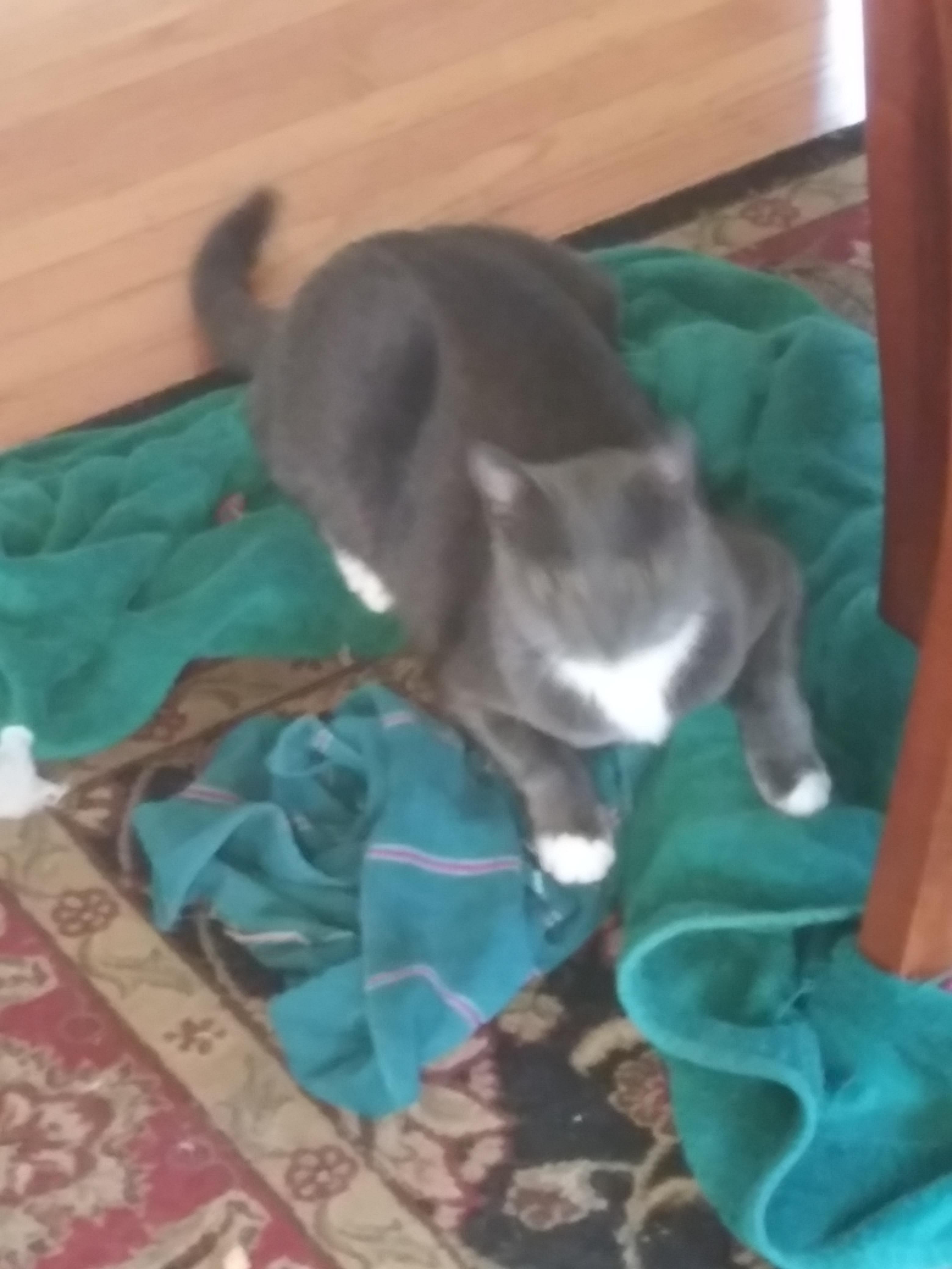 cursed_RUN | Scrolller