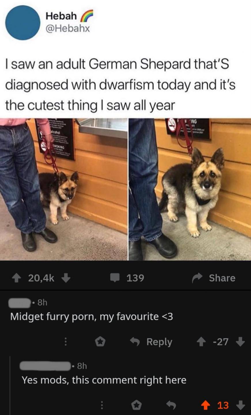 Cursed_shepard | Scrolller