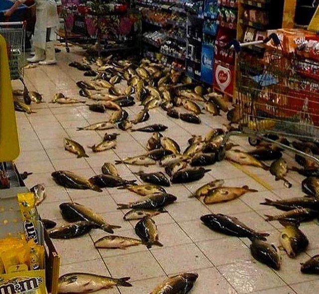 Cursed_shop | Scrolller