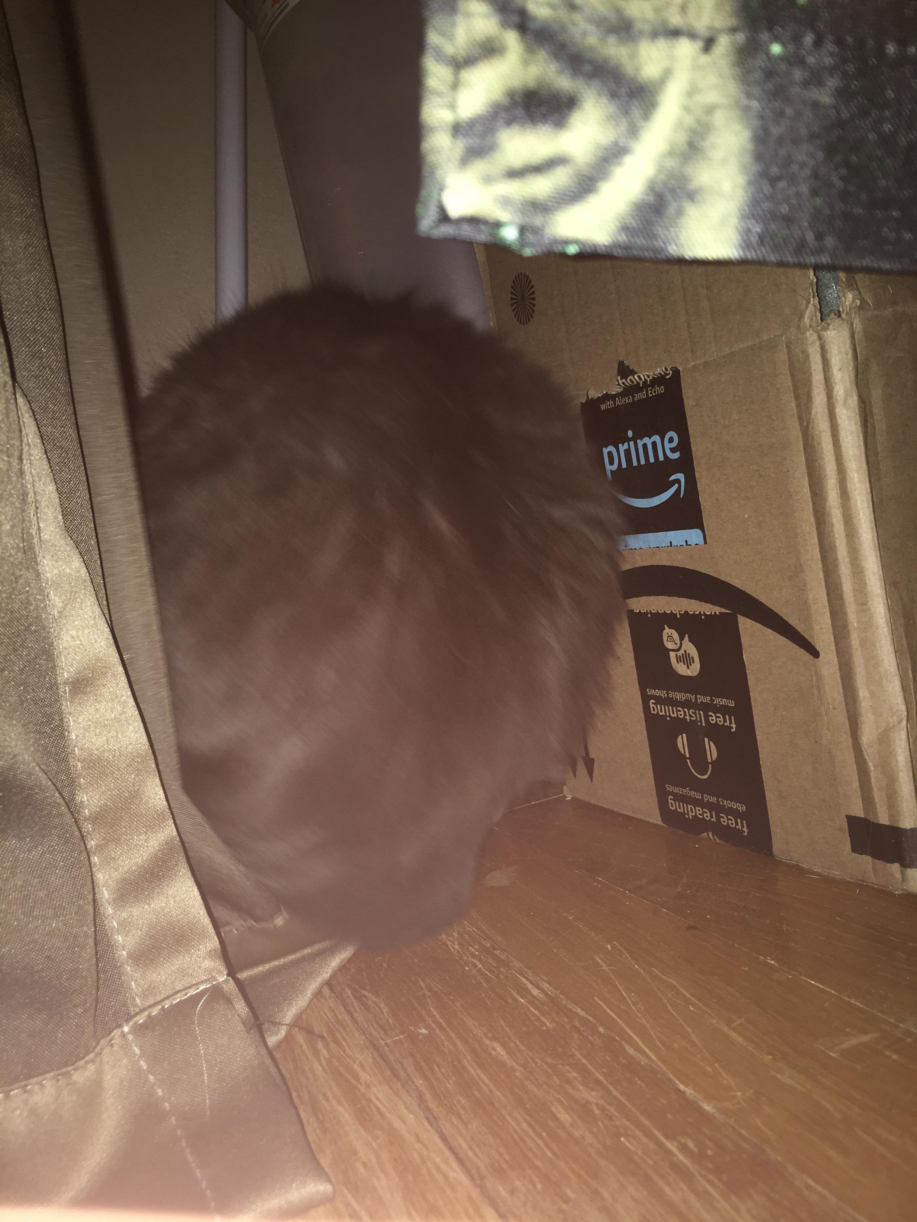 Cursed_sphere | Scrolller