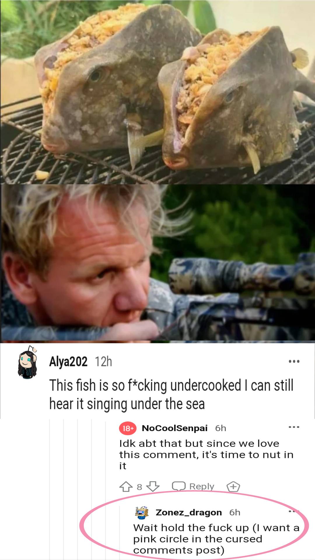 Cursed_tacos | Scrolller