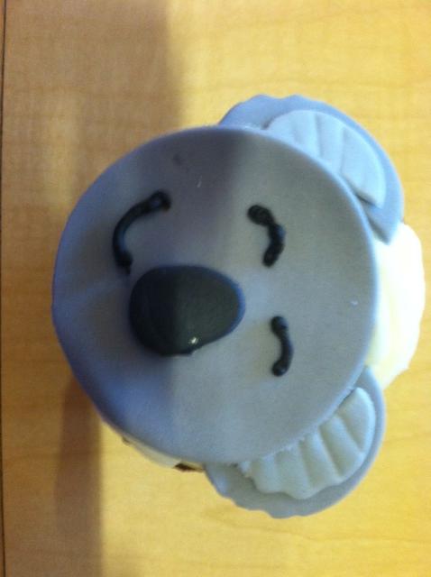 Discover more like Koalas: cute and delicious and Related Content | Scrolller