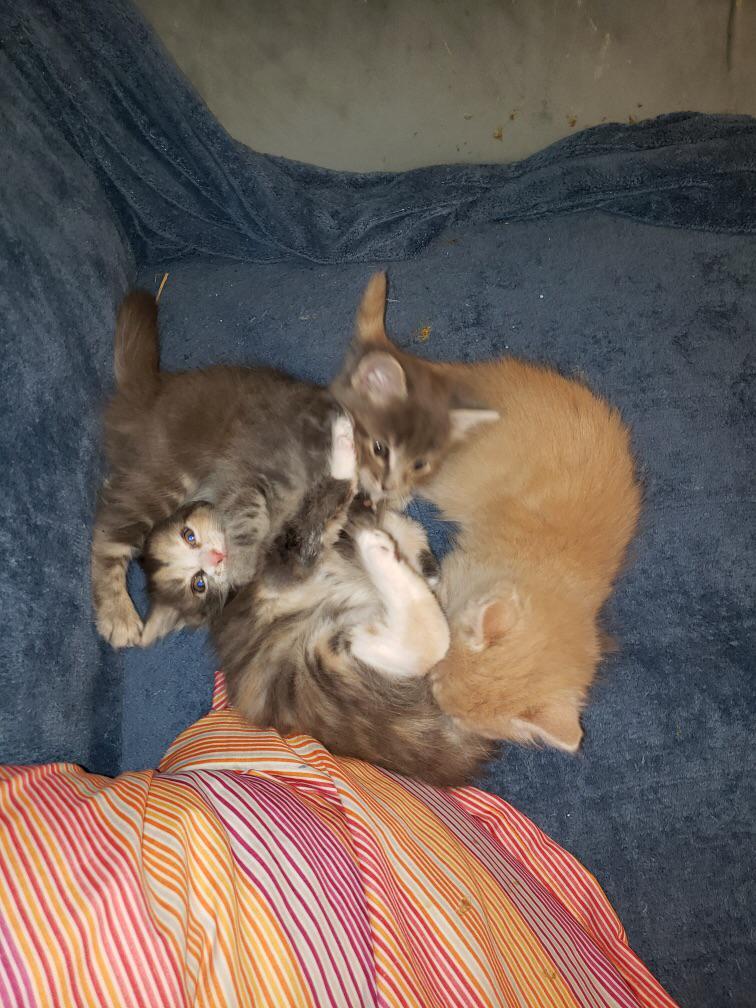 Cute babies 😊🥰 | Scrolller